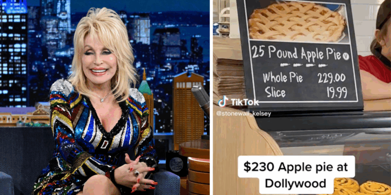 Dolly Parton: The Cultural Icon Who Redefined Philanthropy - Green At Home